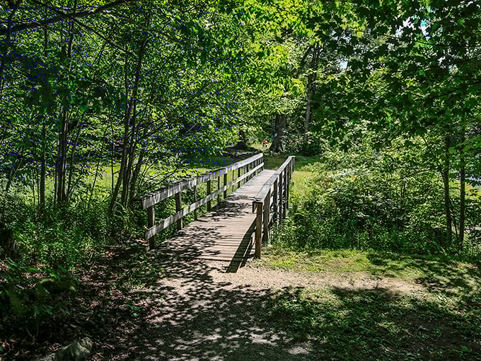 Adams Reservoir's placid waters: The perfect spot for practicing your best "I'm one with nature" pose.