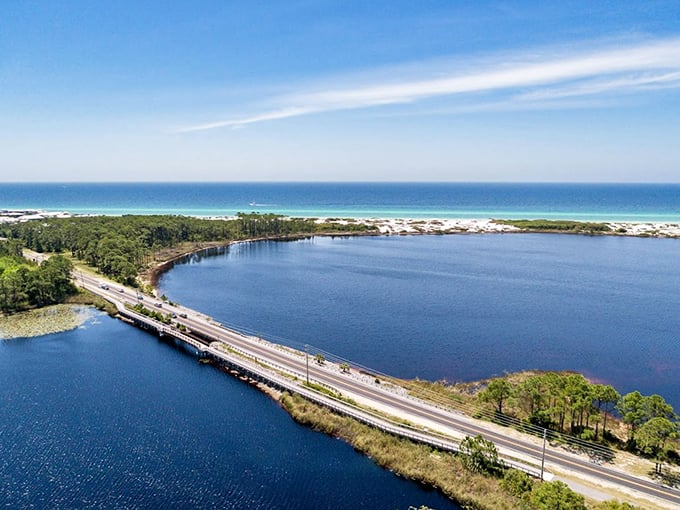 Bird's eye bliss: Where forest meets sea in a perfect harmony. If Bob Ross painted maps, this would be his masterpiece.
