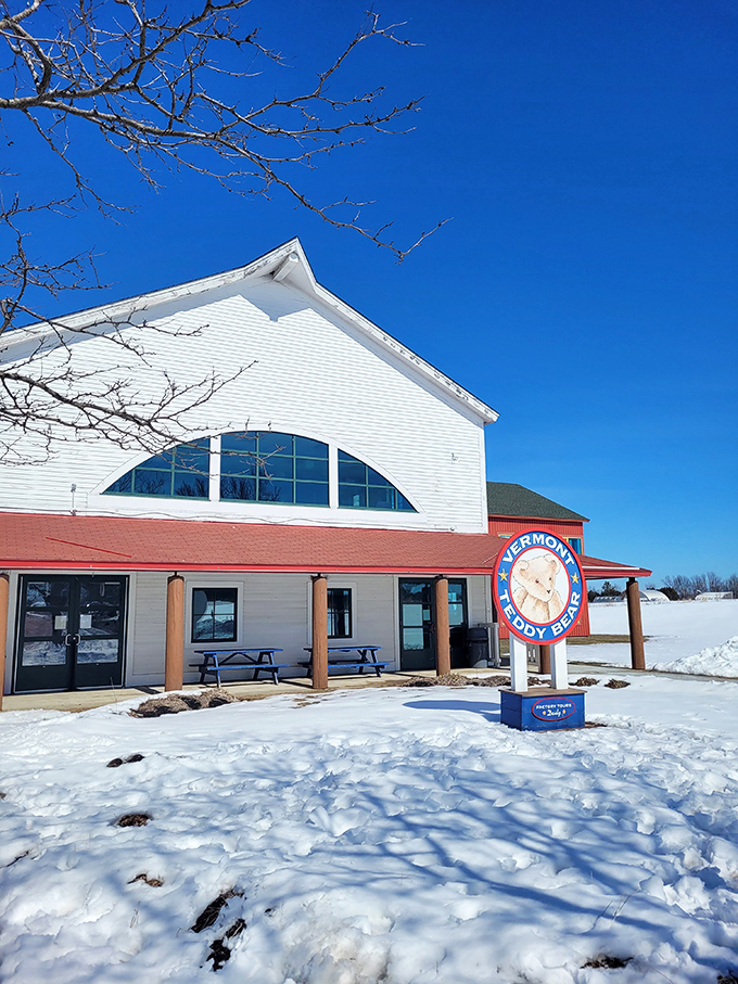 Even in winter's embrace, this cheerful bear beacon stands ready to warm hearts and spark joy in visitors young and old.