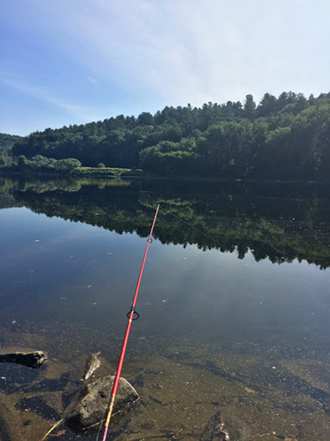 The early bird catches the... fish? This serene spot is perfect for testing your patience and your tall tale-telling skills.