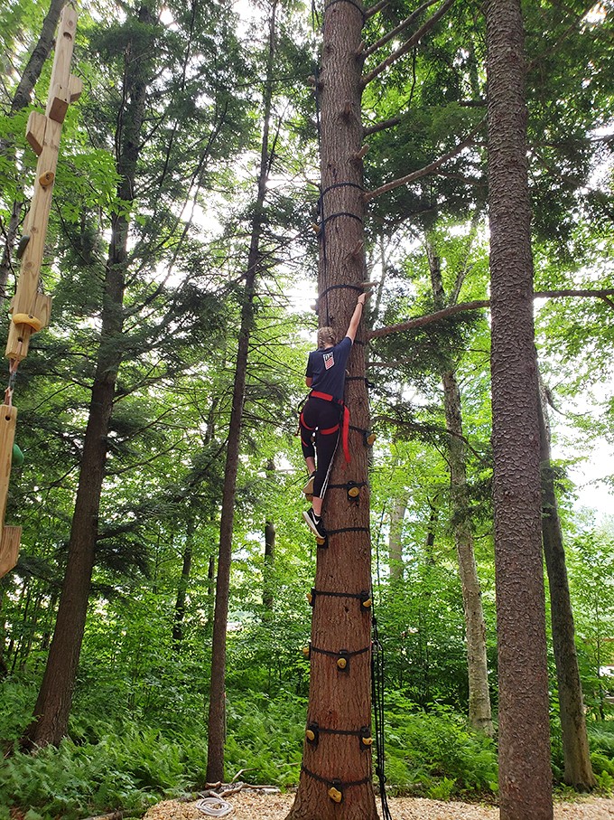 Who needs elevators when you've got determination? This climber is giving new meaning to the phrase 'branching out.'
