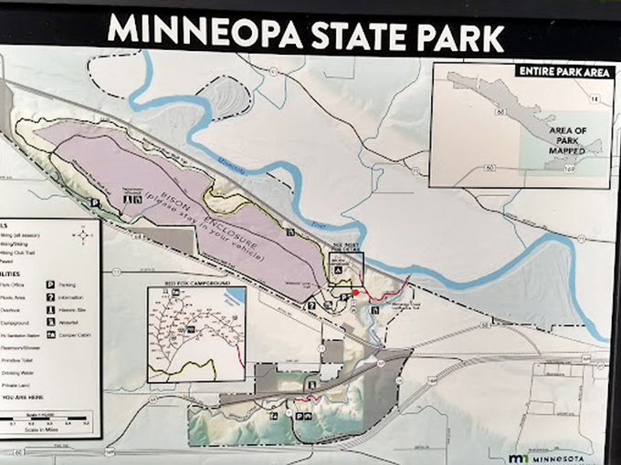 X marks the spot! This treasure map leads to waterfalls, bison, and maybe a few mosquito bites. Adventure awaits!