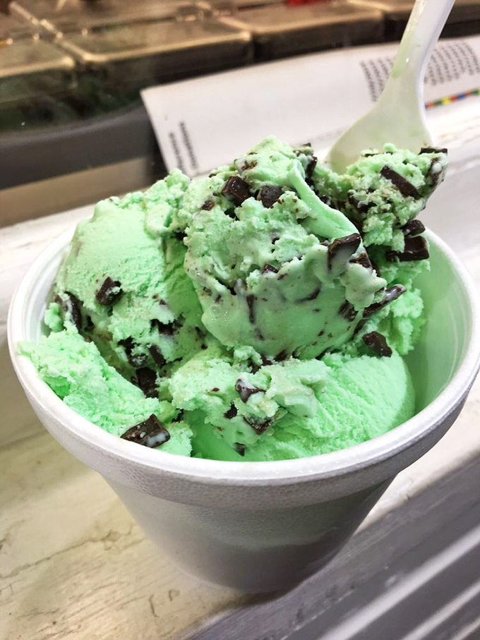Mint chocolate chip: nature's most perfect marriage of flavors. It's like a breath of fresh air for your taste buds.