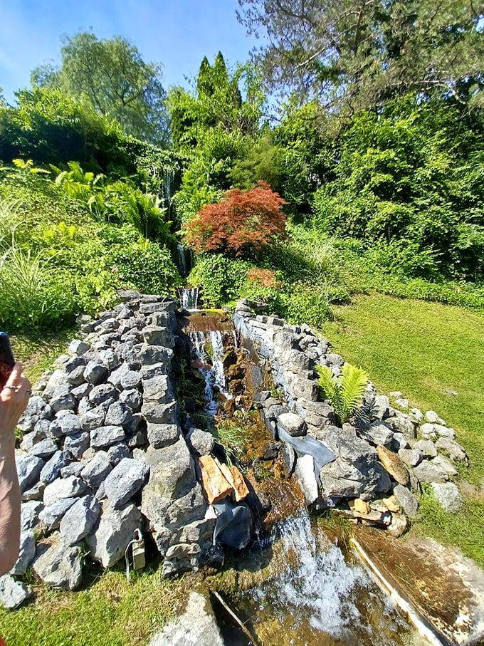 Nature's own water feature. This cascading stream provides a soothing soundtrack to your garden adventure.