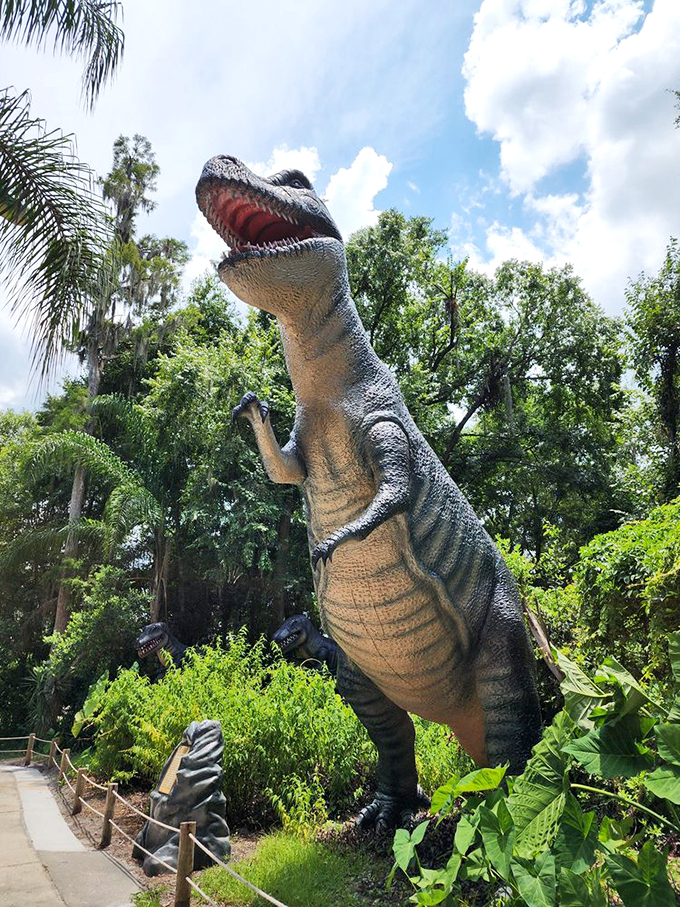 "Objects in mirror are closer than they appear." This T-Rex looks ready for his close-up, and possibly a quick snack. Smile and say "ROAR!"
