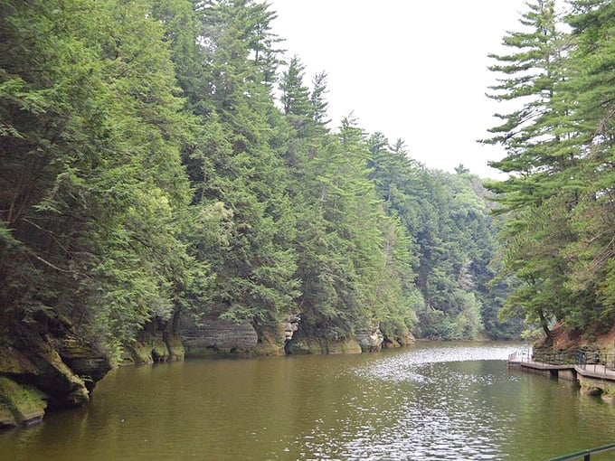 Where the forest meets the water: a view that'll make you want to cancel your plans and become a full-time nature enthusiast.