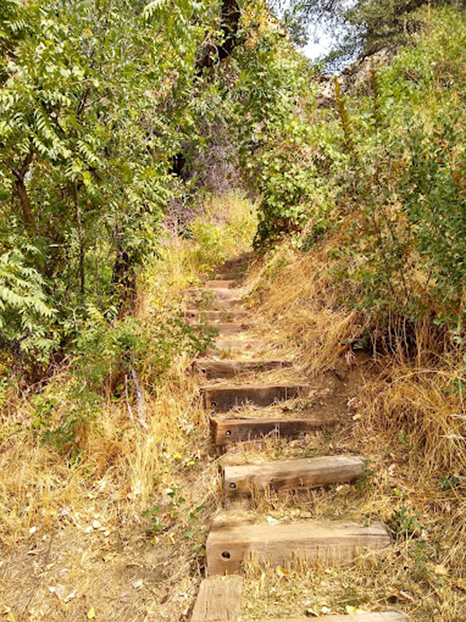 Stairway to heaven? Nope, just a delightful trail promising adventure and maybe a good cardio workout.