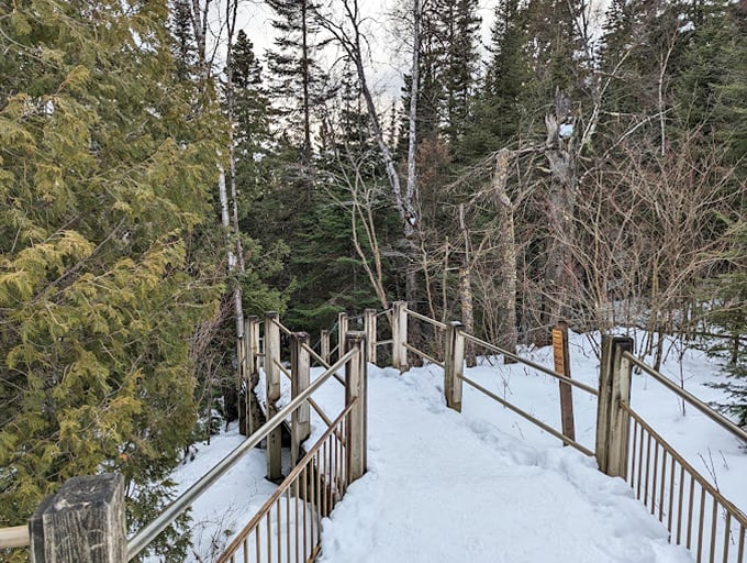 Narnia, Minnesota edition! This snowy trail looks like it could lead you straight to a talking lion or a warm cup of cocoa.