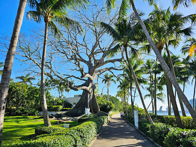 Nature's red carpet: A path so picturesque, it makes a simple walk feel like a movie scene.