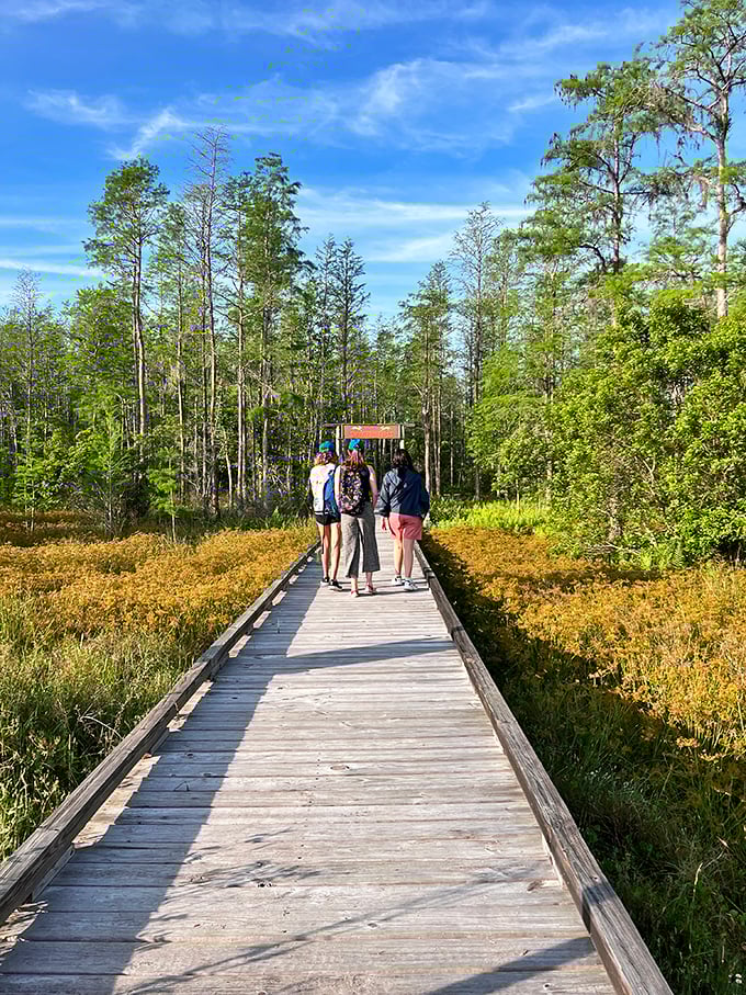 "Are we there yet?" Just kidding! On this boardwalk, every step is an adventure waiting to happen. No "are we there yets" allowed!