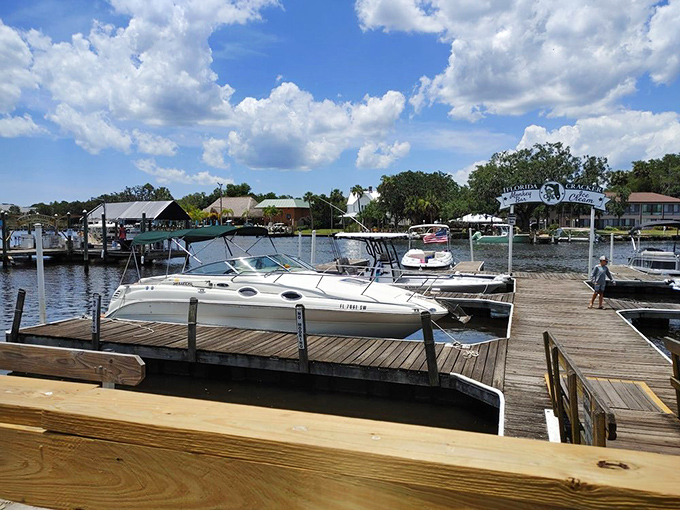 Boat tours: for when you want to feel like Jacques Cousteau, but with less diving and more monkeys.