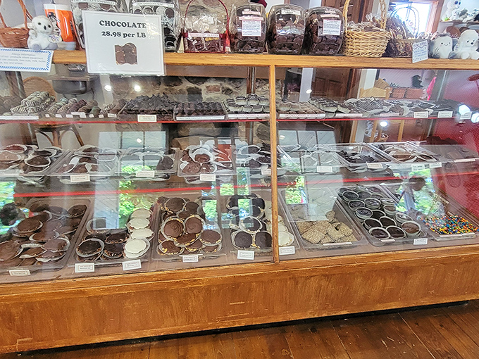 Chocolate heaven, glass-encased! This display is like a museum exhibit dedicated to cocoa's finest achievements. Drooling is permitted, maybe even encouraged.