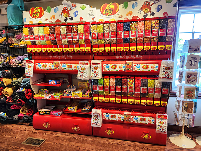 A rainbow of classic candies! This display is like a time machine for your taste buds, transporting you back to simpler, sweeter times.