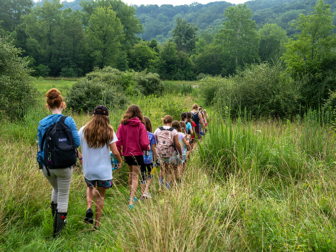 "Follow the leader into the wild unknown. It's like summer camp, but with potential giraffe sightings instead of s'mores."