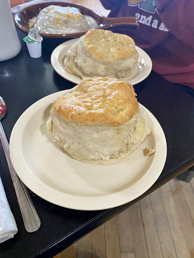 These biscuits are so famous, they probably have their own agent. Fluffy, golden, and ready for their close-up!