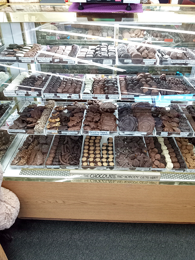 Chocolate heaven on earth! This case is proof that dreams do come true, especially if those dreams involve cocoa-based bliss.