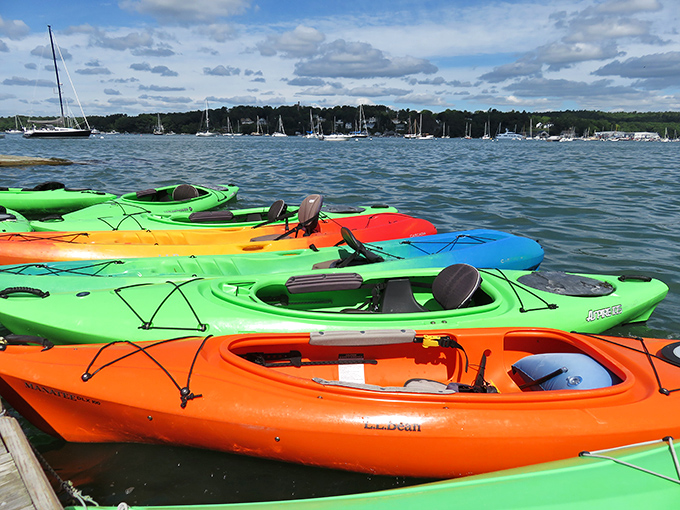 Kayak kaleidoscope: Pick your color and paddle into a world where every stroke is a new discovery.