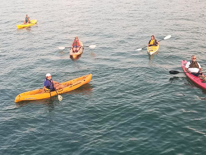 "Paddle party on Lake Erie! These kayakers are living their best 'Life of Pi' fantasy, minus the tiger and plus a whole lot of fun."
