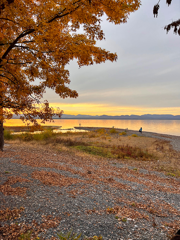 Watch as autumn paints the shoreline in warm hues. It's like watching Bob Ross work his magic in real-time.
