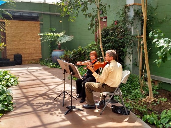 Even the musicians have caught butterfly fever! Their melodies float through the air like delicate wings.