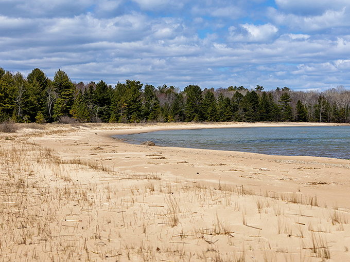 Forest bathing, Negwegon edition. Breathe in that crisp Michigan air and let nature's green therapy work its magic.