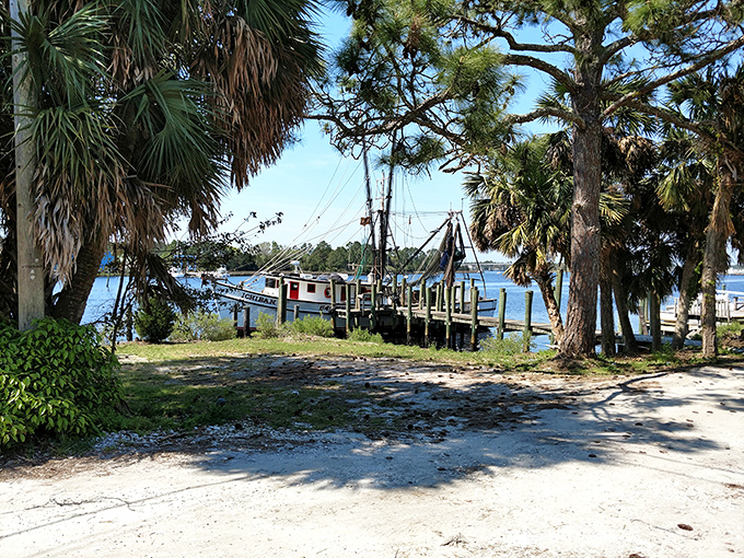 Beyond the booth: Carrabelle's charm extends to its picturesque waterfront. A perfect spot for some post-police-station pondering.