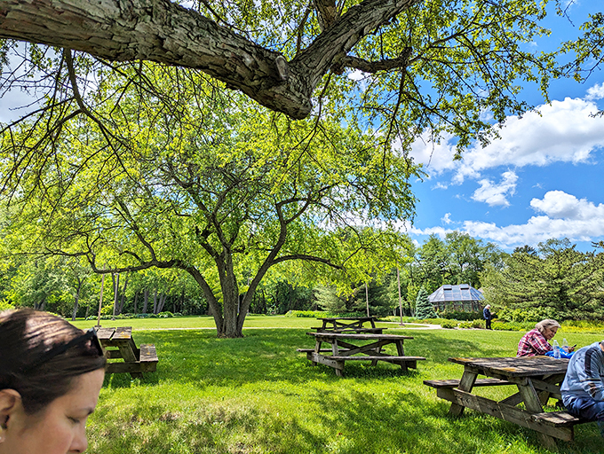 Nature's dining room, where the dress code is casual and the view is always five-star. Picnic baskets and good company highly recommended!