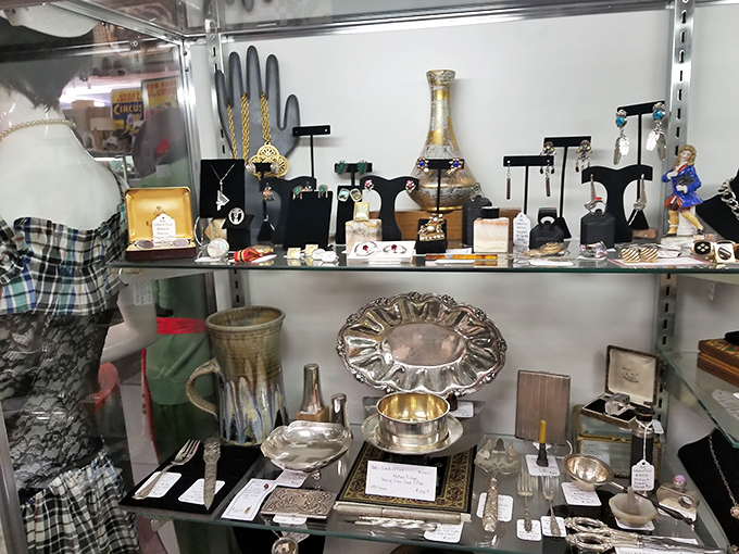 Quirky collectibles that spark joy and confusion in equal measure. It's like a yard sale threw up, but in the most charming way possible!