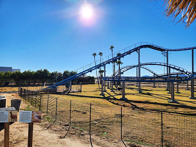 Hold onto your hats! This roller coaster adds a whole new twist to your typical zoo visit.