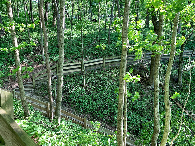 Stairway to heaven? Nope, just a really cool trail. Led Zeppelin would approve of this natural amphitheater.