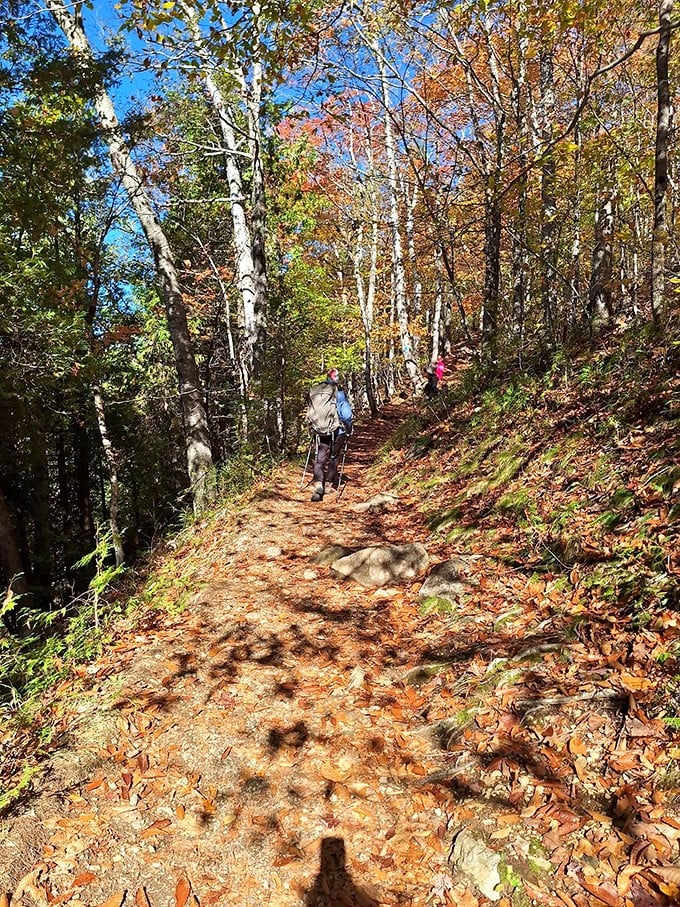 The path less traveled&hellip; because it's uphill. But trust me, the view at the top is worth every huff and puff.