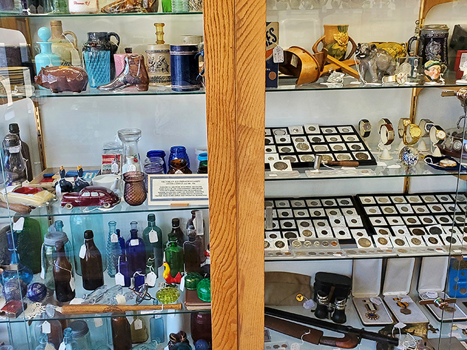 Collector's corner! From coins to curios, this display is a treasure trove that would make even the most seasoned antique hunter's heart skip a beat.
