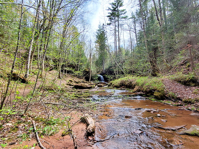 Lost Creek Falls: where "getting lost" means finding something spectacular. This wide shot captures the falls in all their glory.