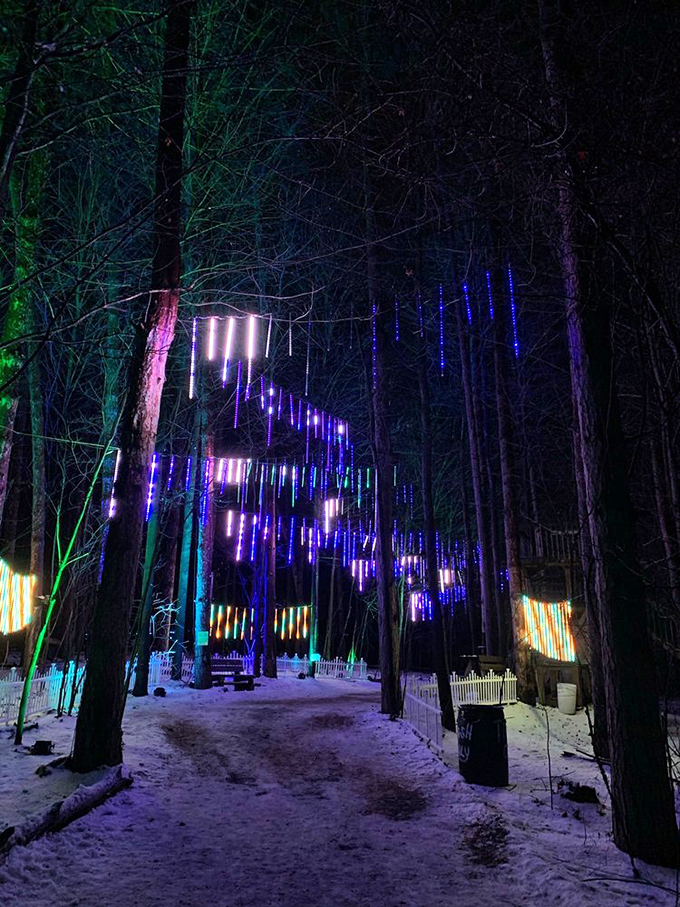 Jack Frost's art gallery! Winter takes on a whole new glow when the trees dress up in their finest LED jewelry.