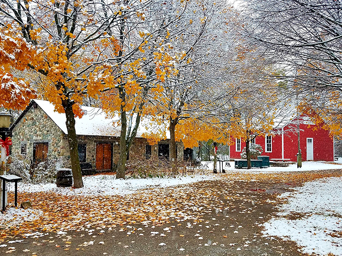 Winter wonderland meets autumn's last stand. Snow-dusted leaves create a magical scene that's part Narnia, part Norman Rockwell. Bundle up and explore!