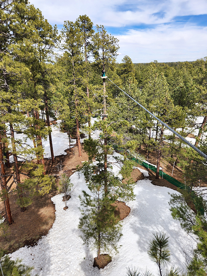 Winter wonderland meets aerial playground. Even Jack Frost can't resist joining in on this snowy adventure.