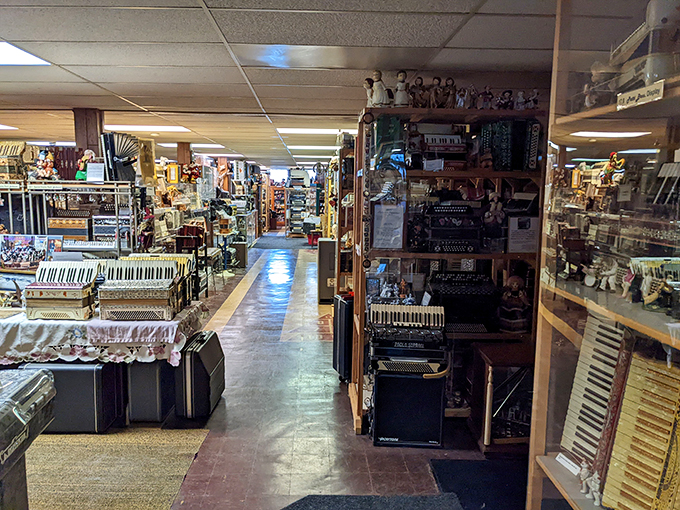 Down the rabbit hole of accordion wonderland! Each turn in this musical maze reveals new squeezebox surprises and accordion artistry.