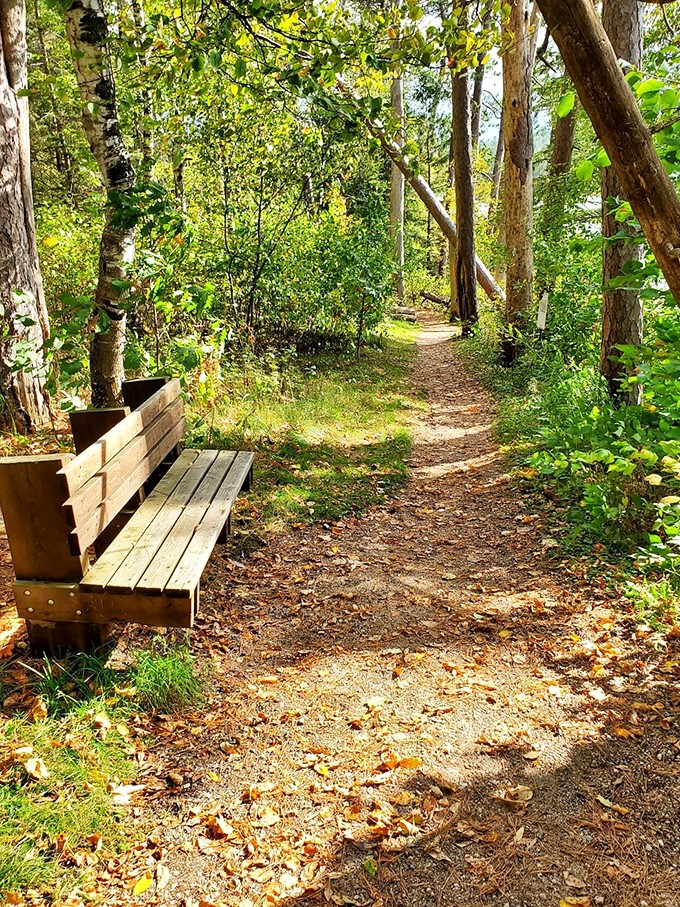The original park bench, before parks were cool. This rustic seat invites you to sit a spell and chat with the local squirrels.
