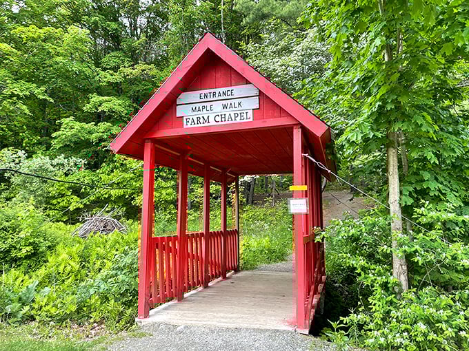 The gateway to flavor country: This charming bridge leads to a maple walk that's sweeter than any yellow brick road.