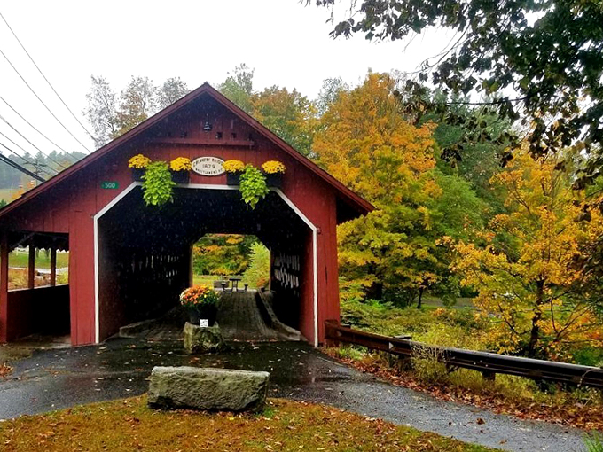 Behold, the Instagrammer's dream! This view could turn even the most reluctant selfie-taker into a social media sensation.