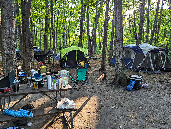 Glamping? More like glam-ping! This cozy campsite is the perfect blend of roughing it and "is that a French press I see?"