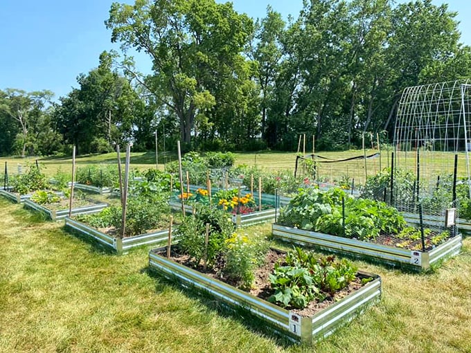 From castle grounds to community gardens. These raised beds are perfect for growing everything from royal radishes to knightly kale.