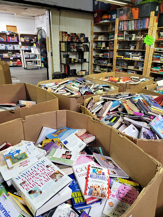 It's raining books! Hallelujah! Dive into these boxes of literary treasure and emerge with your next great read.