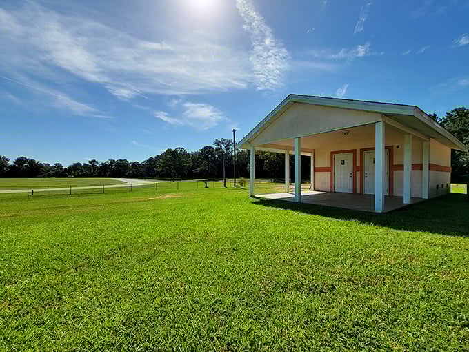 Green spaces galore! Quincy's parks are like nature's living rooms, complete with a grass carpet and sky ceiling.
