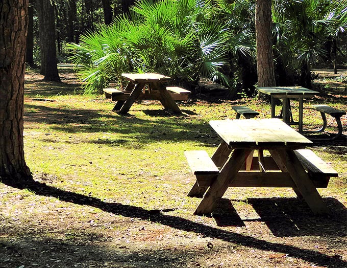 Picnic tables that have seen more sandwiches than a deli at lunchtime. Time to add your own to the count!