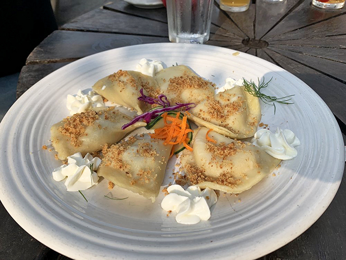 Pierogies: the dumplings that dreams are made of. These little pockets of joy are proof that good things come in small, carb-wrapped packages.