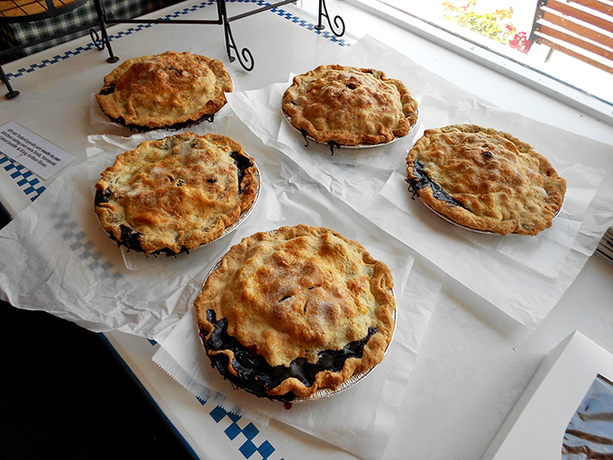 Pie perfection! Golden crusts hiding fruity treasures – it's like edible art, but way more delicious than anything in a museum.