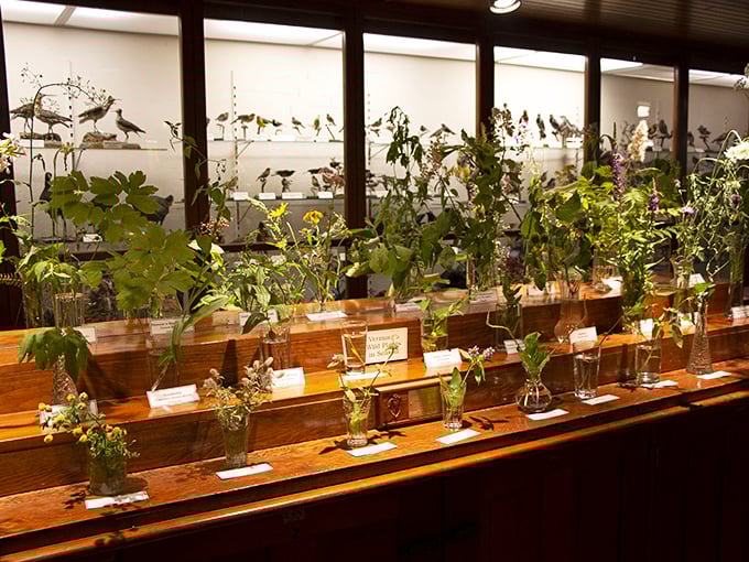 Nature's own flower show! These delicate blooms prove that Mother Nature was the original Instagram influencer.