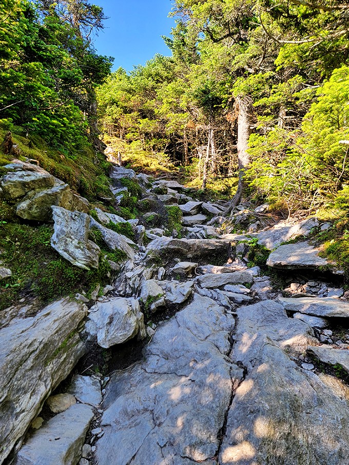 Nature's stairmaster: Who needs a gym when you've got this rocky path? It's a full-body workout with scenery that beats any TV on a treadmill.