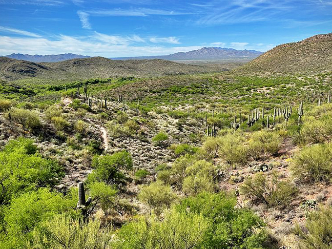 Arizona's version of "The Sound of Music" hills. Just don't expect Julie Andrews to come twirling through the cacti!